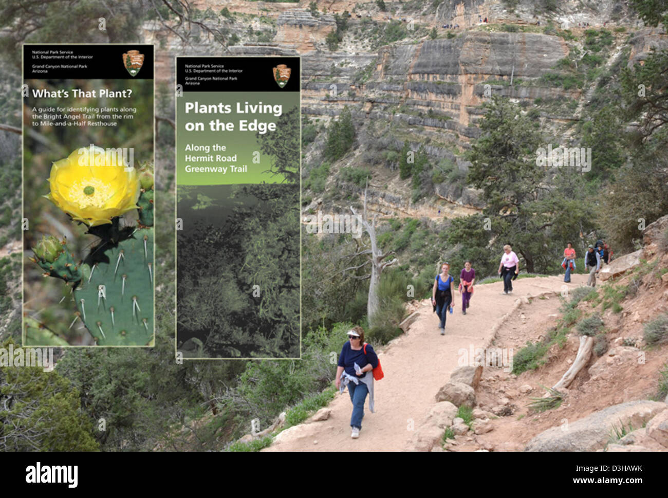 Plant identification hi-res stock photography and images - Alamy