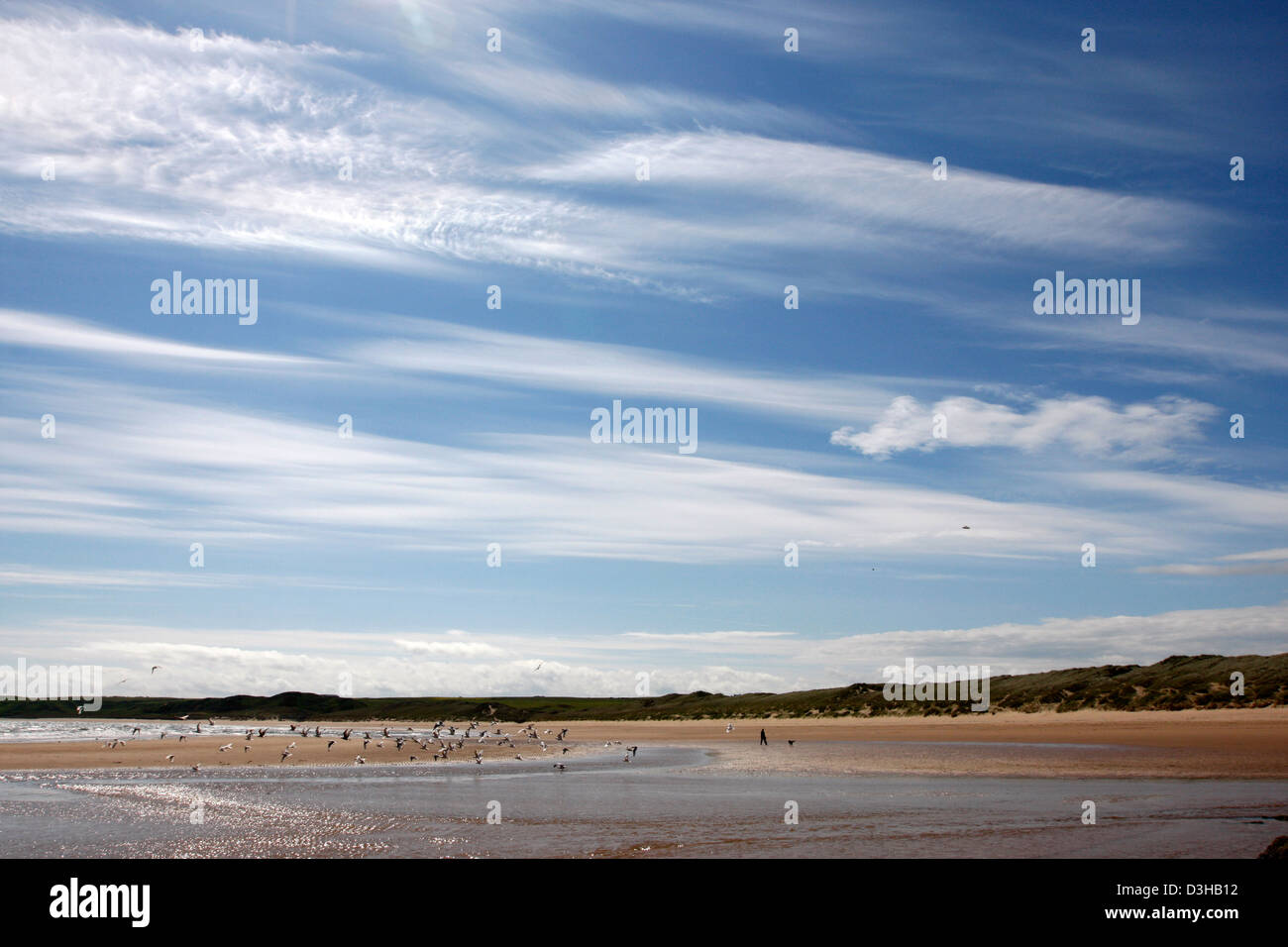 The beautiful beach at Cruden Bay in the North East of Scotland Stock ...