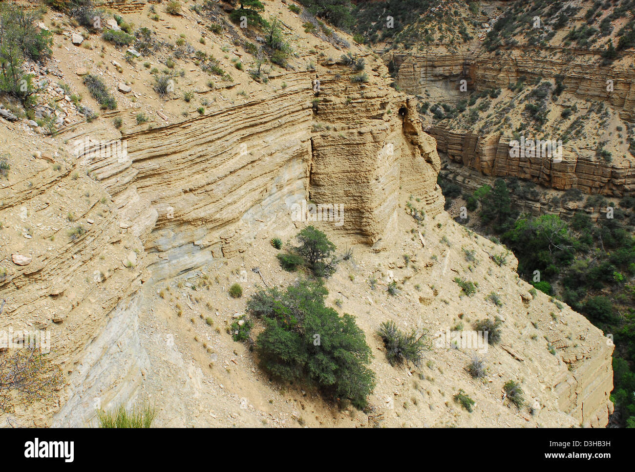 The Muav Ledges, a geological feature of the Grand Canyon, are formed ...