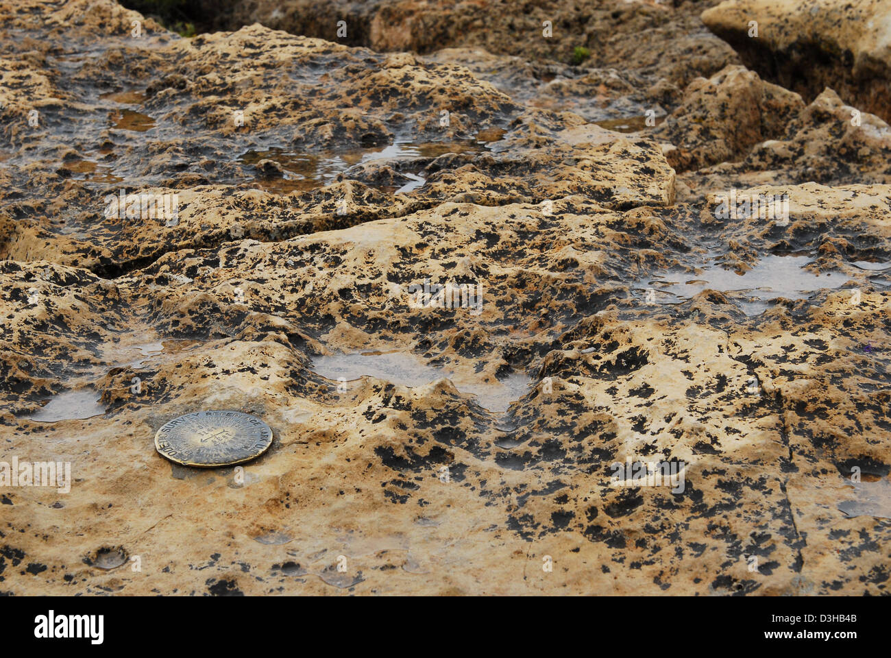 Pocked hi-res stock photography and images - Alamy