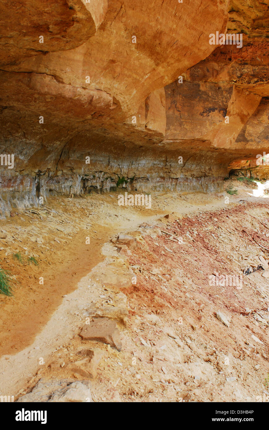 Fossils kaibab limestone grand canyon hi-res stock photography and ...
