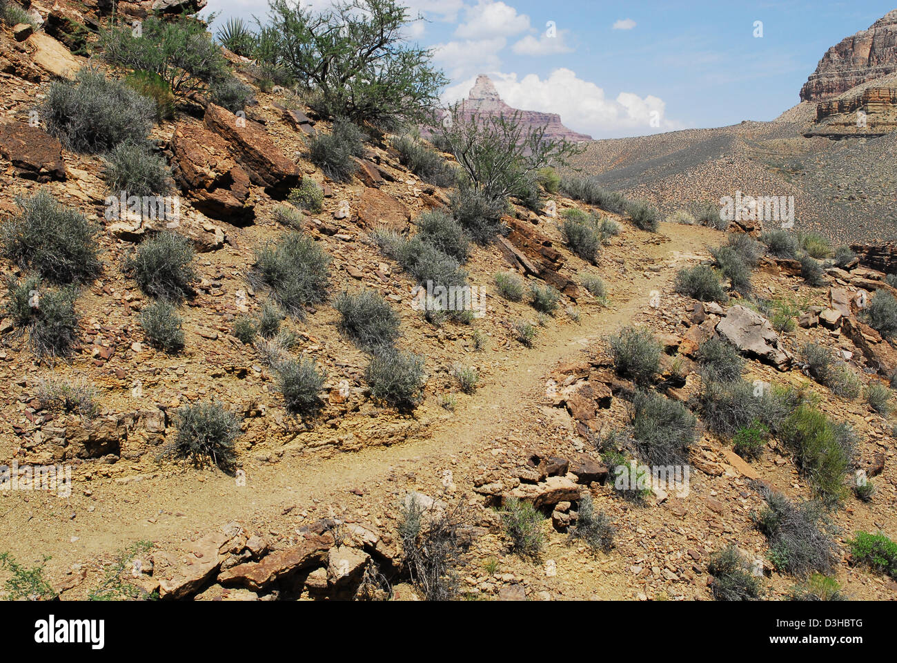 The Bright Angel Shale is a prominent geological formation in the Grand ...