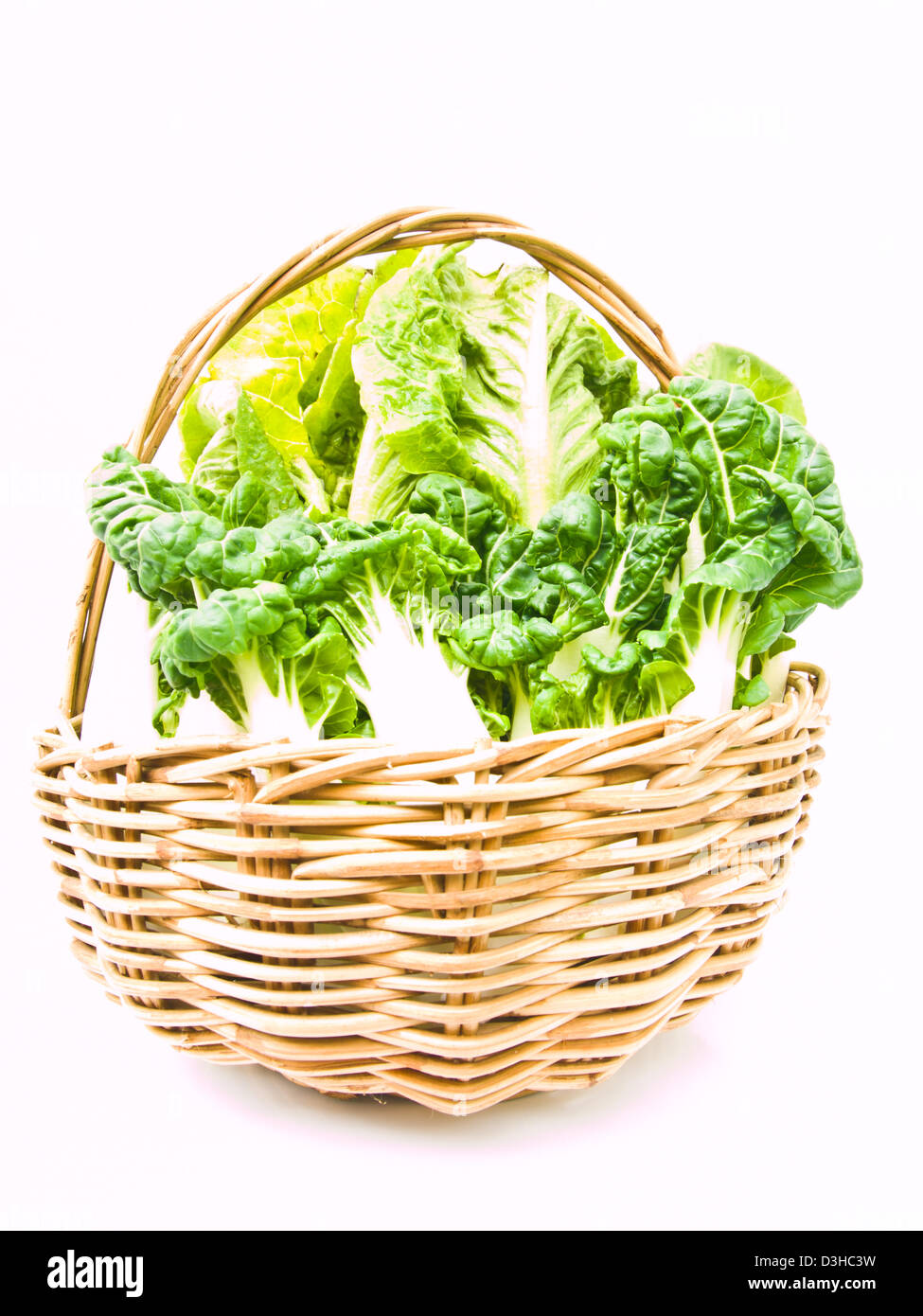 Bok choy cabbage in Cut Out Stock Images & Pictures - Alamy