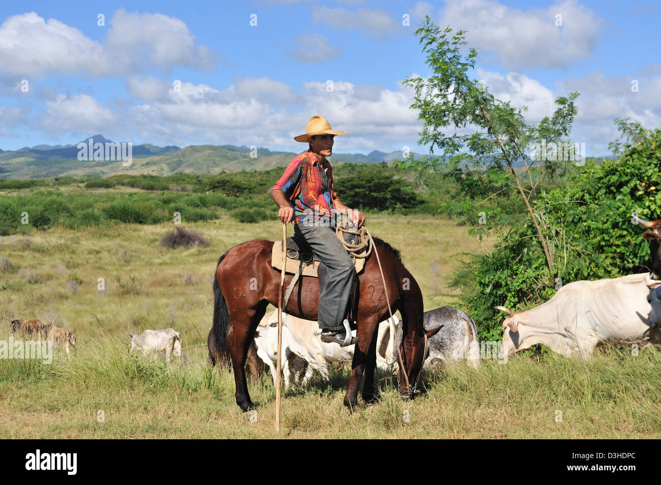 Gaucho riding a horse hi-res stock photography and images - Alamy