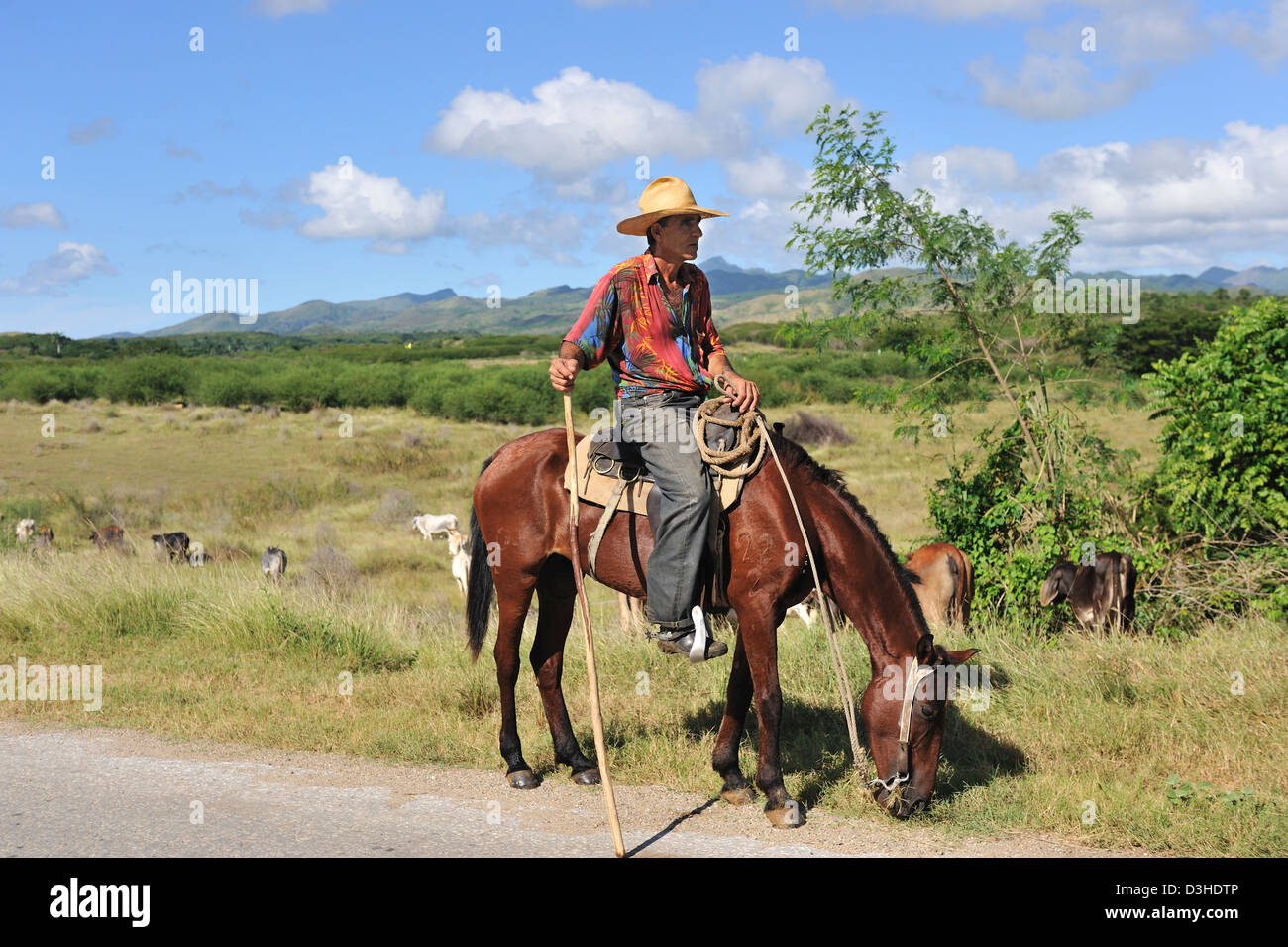 Gaucho riding a horse hi-res stock photography and images - Alamy