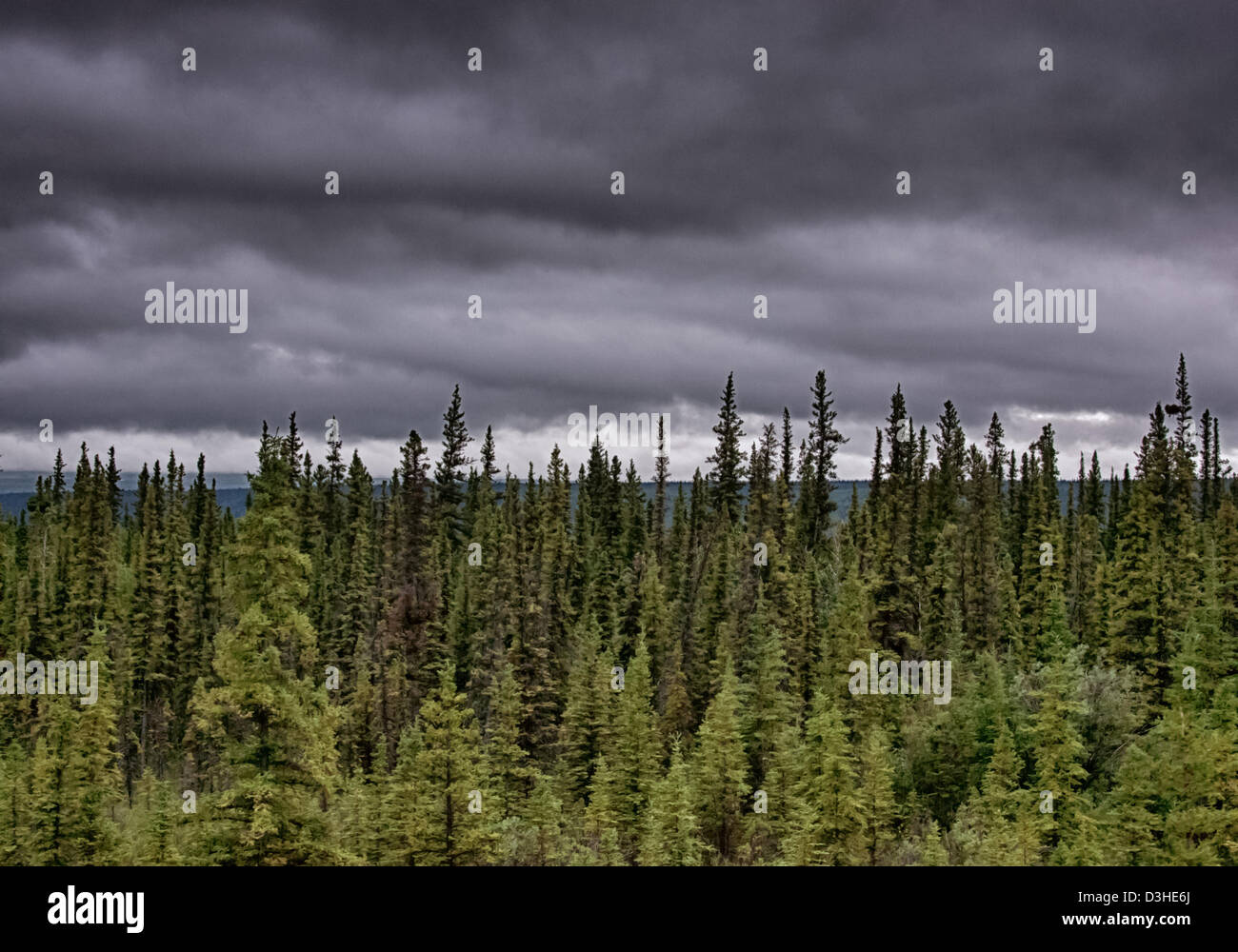 Between denali and healy hi-res stock photography and images - Alamy