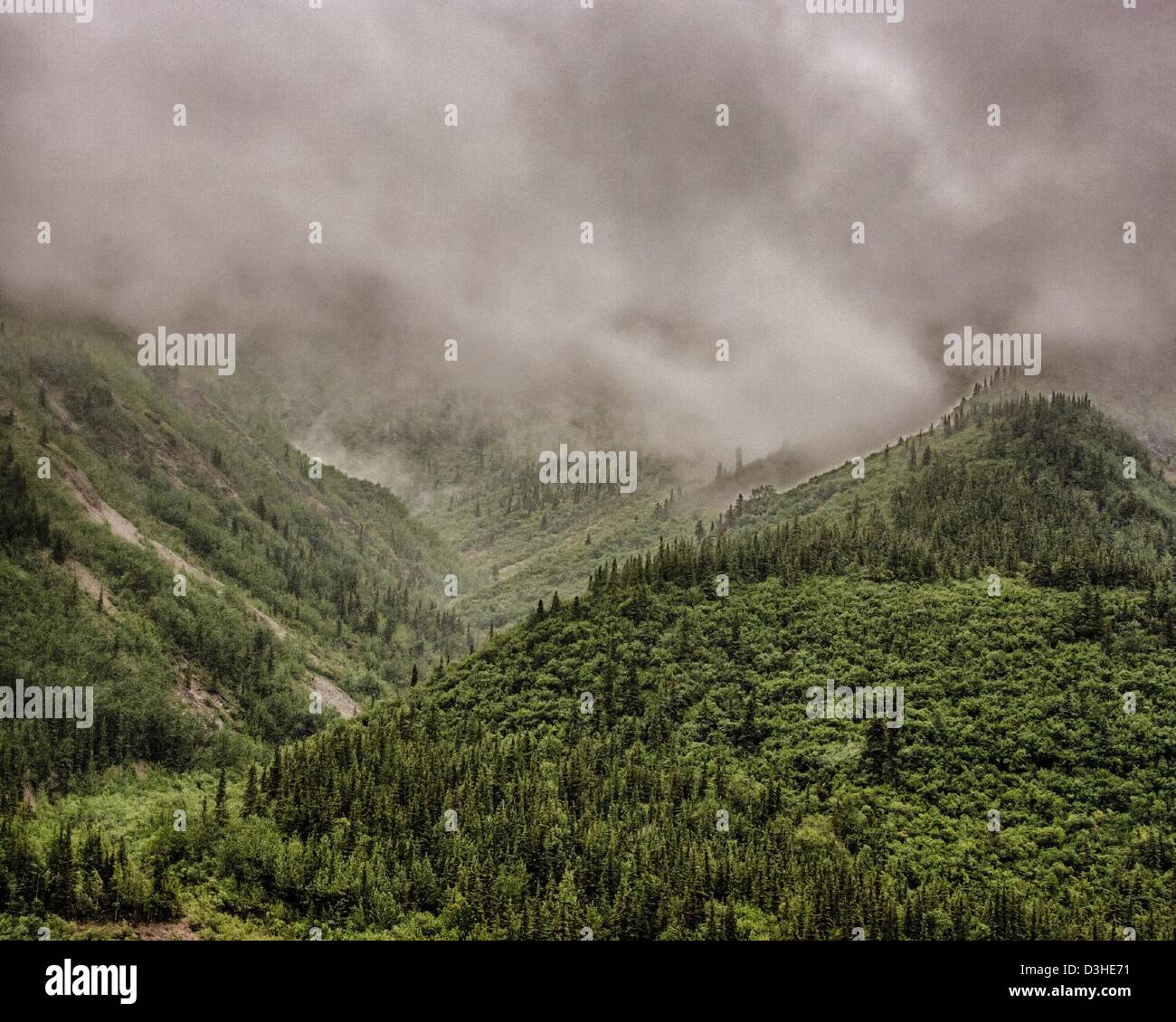 June 26, 2012 - Denali Borough, Alaska, US - Low lying fog and storm ...