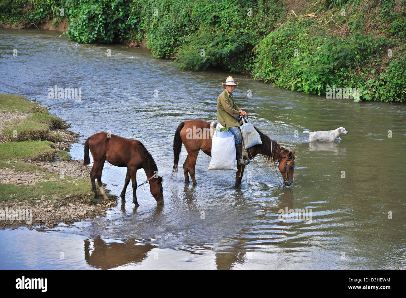 Gaucho riding a horse, Sugar Mills Valley, Cuba Stock Photo - Alamy