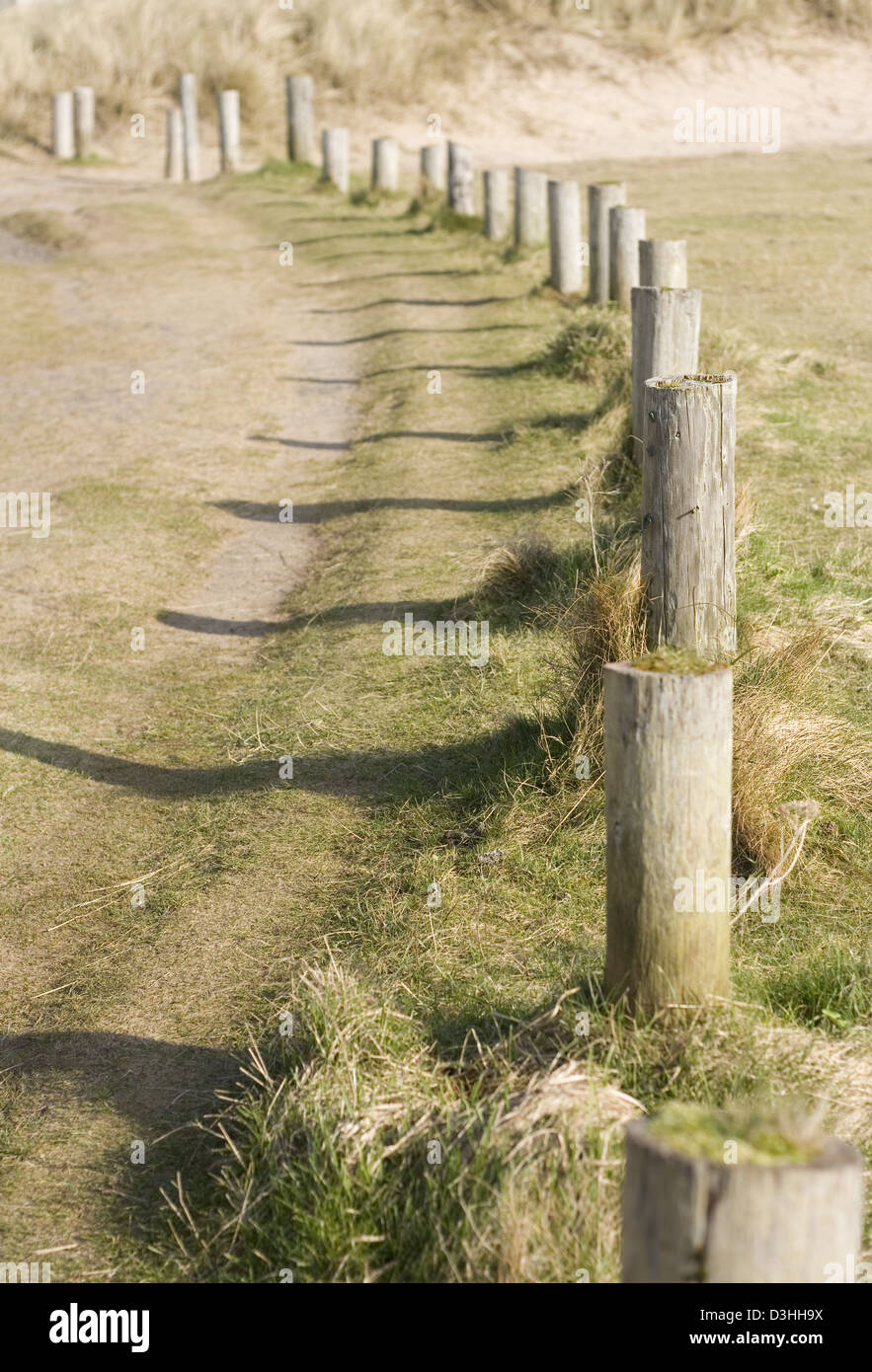 Line wooden poles hi-res stock photography and images - Alamy