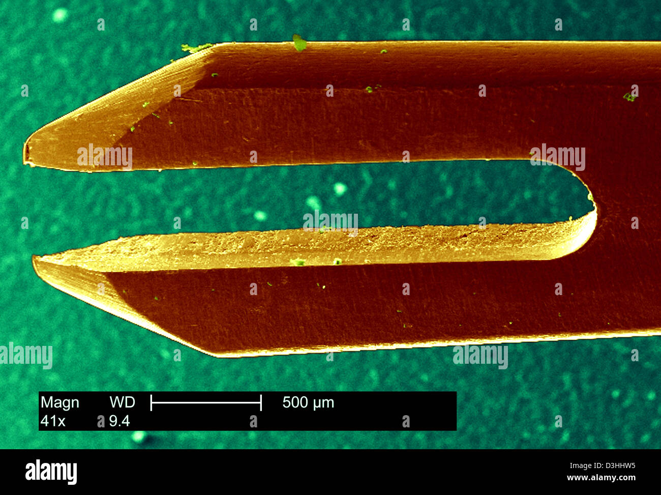 Smallpox immunization hi-res stock photography and images - Alamy