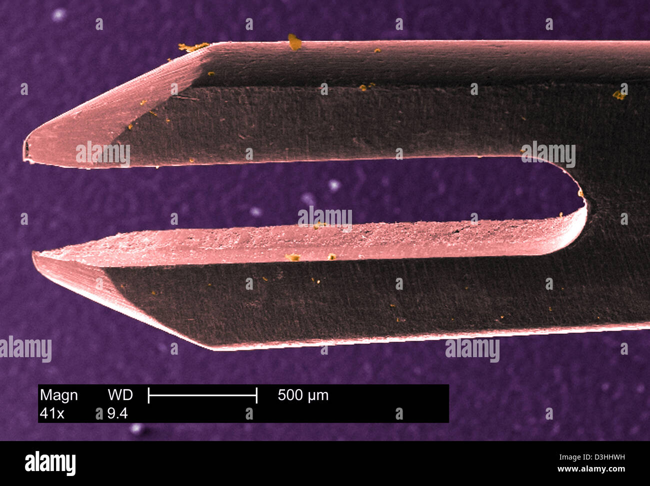 Bifurcated Needle Smallpox Vaccination High Resolution Stock ...