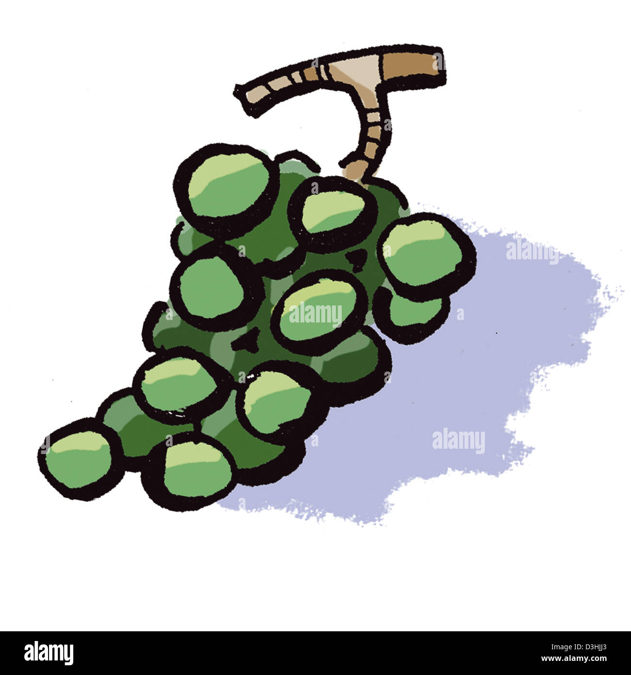 Grape drawing hi-res stock photography and images - Alamy