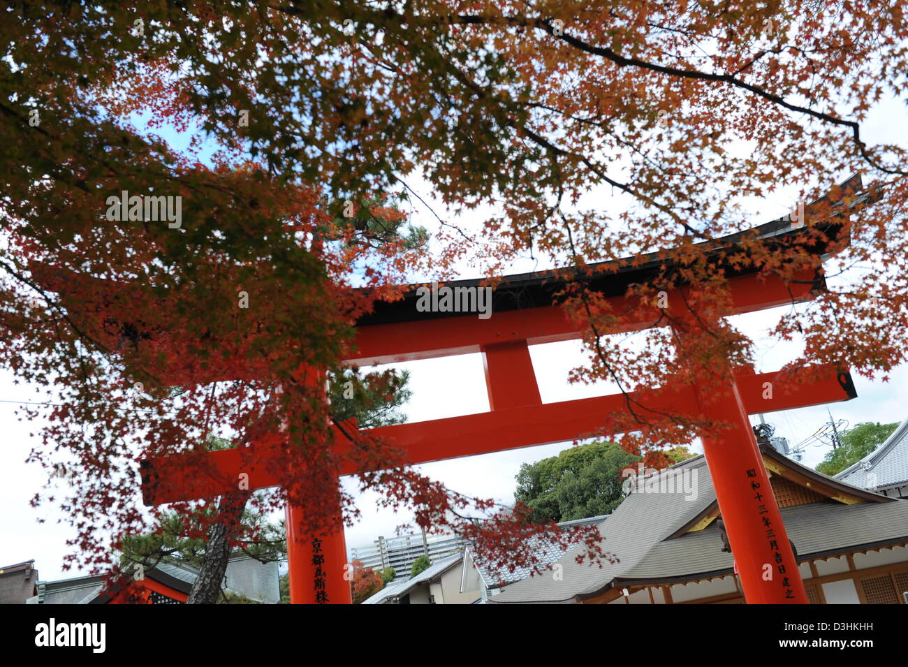 red autumn color in Japan Stock Photo - Alamy