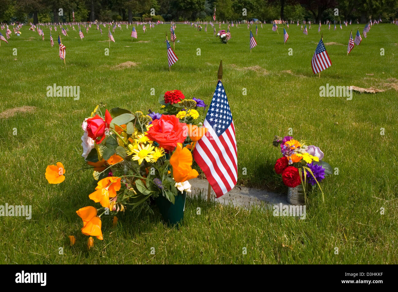 Memorial Day flag on grave, Willamette National Cemetery, Portland ...