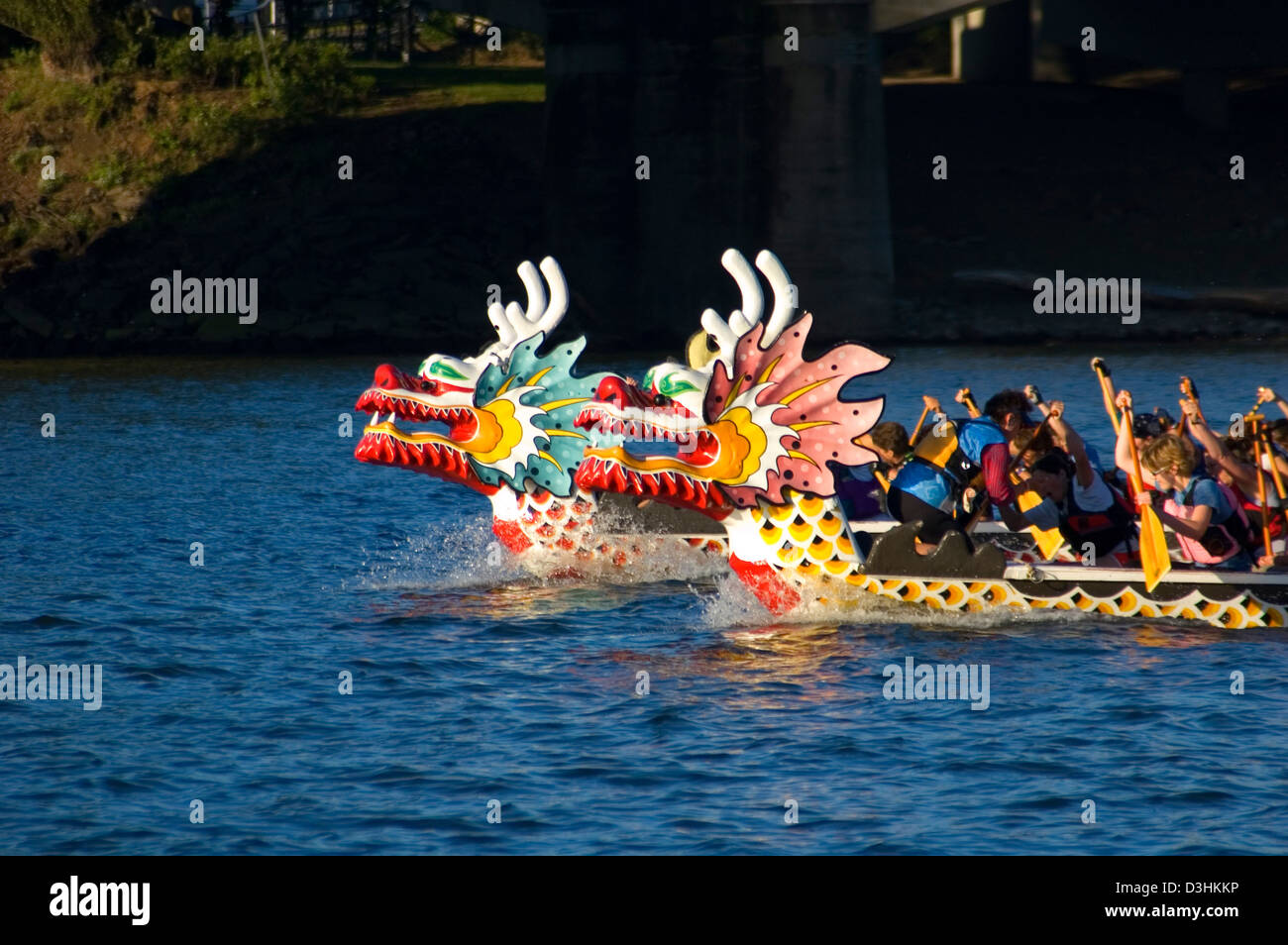 Dragon boats on Willamette River during Rose Festival, Portland, Oregon ...