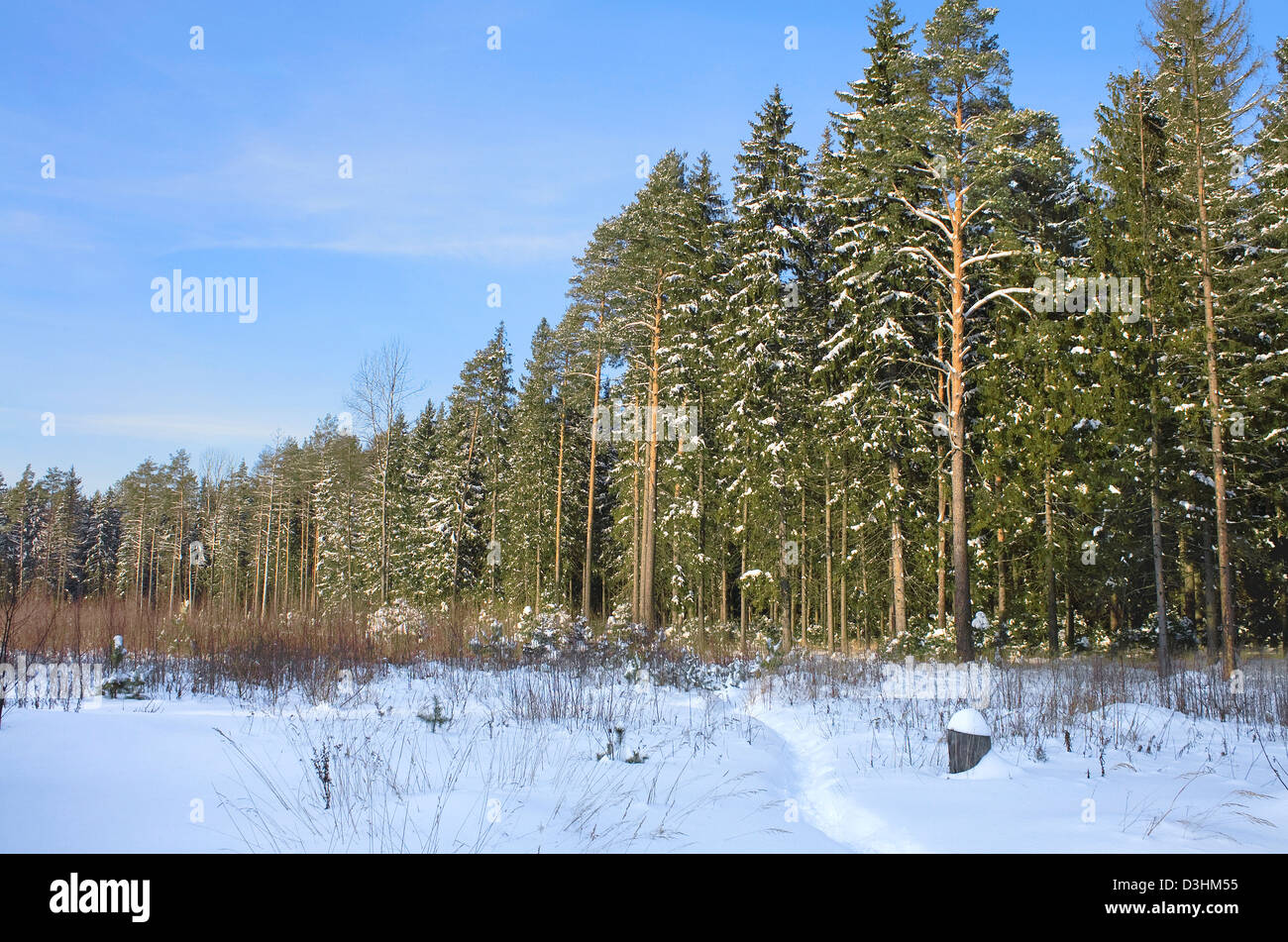 Sky wood sun hi-res stock photography and images - Alamy
