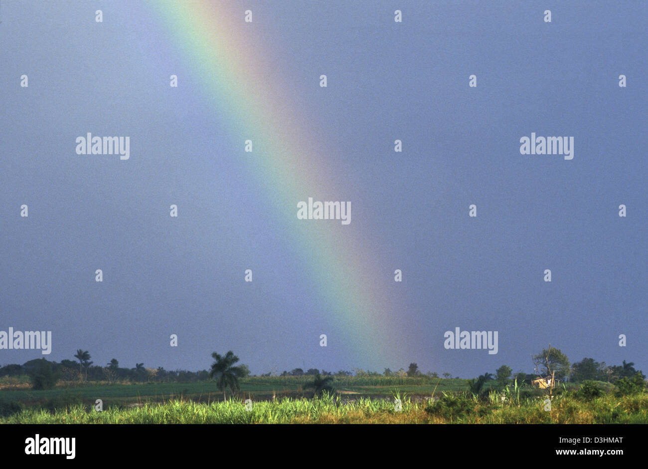 Growing rainbow hi-res stock photography and images - Alamy