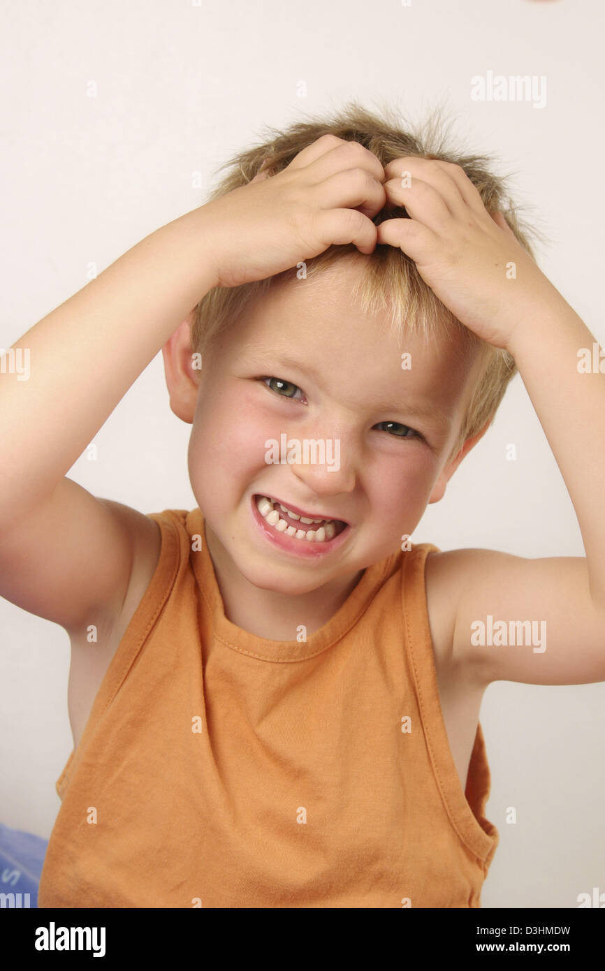 Male human head louse hi-res stock photography and images - Alamy
