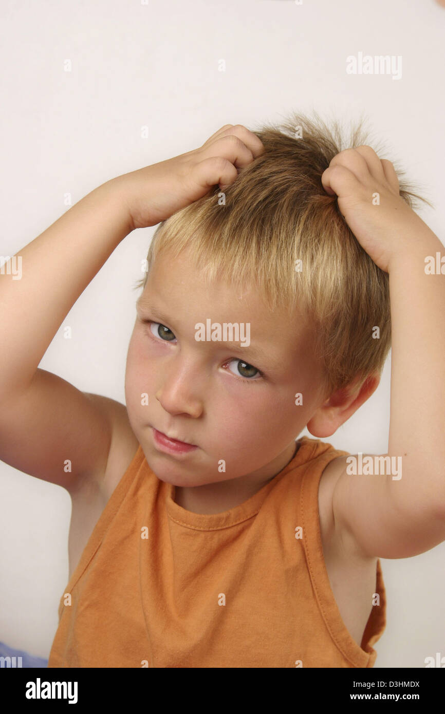 Male human head louse hi-res stock photography and images - Alamy