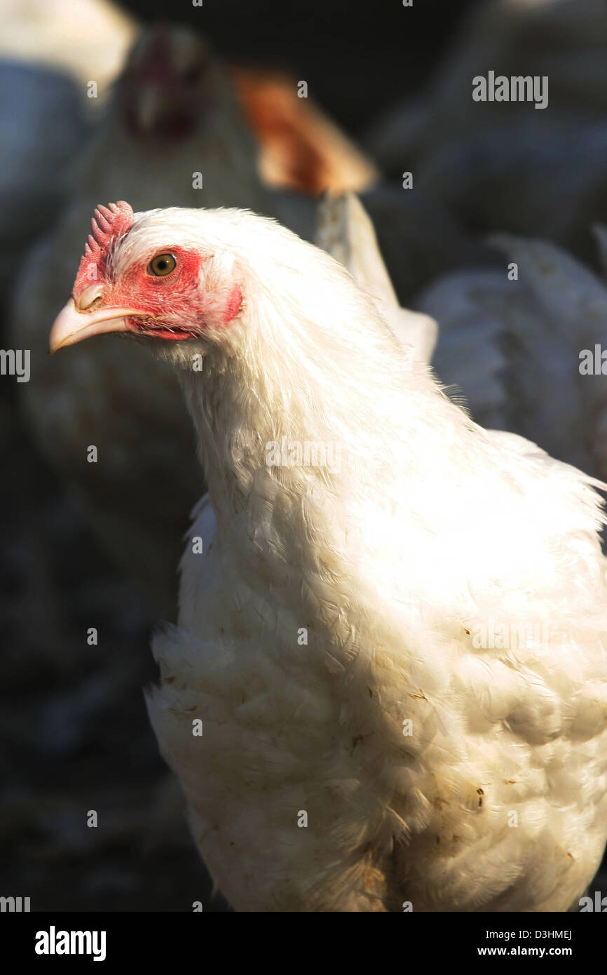 Rna with details hi-res stock photography and images - Alamy