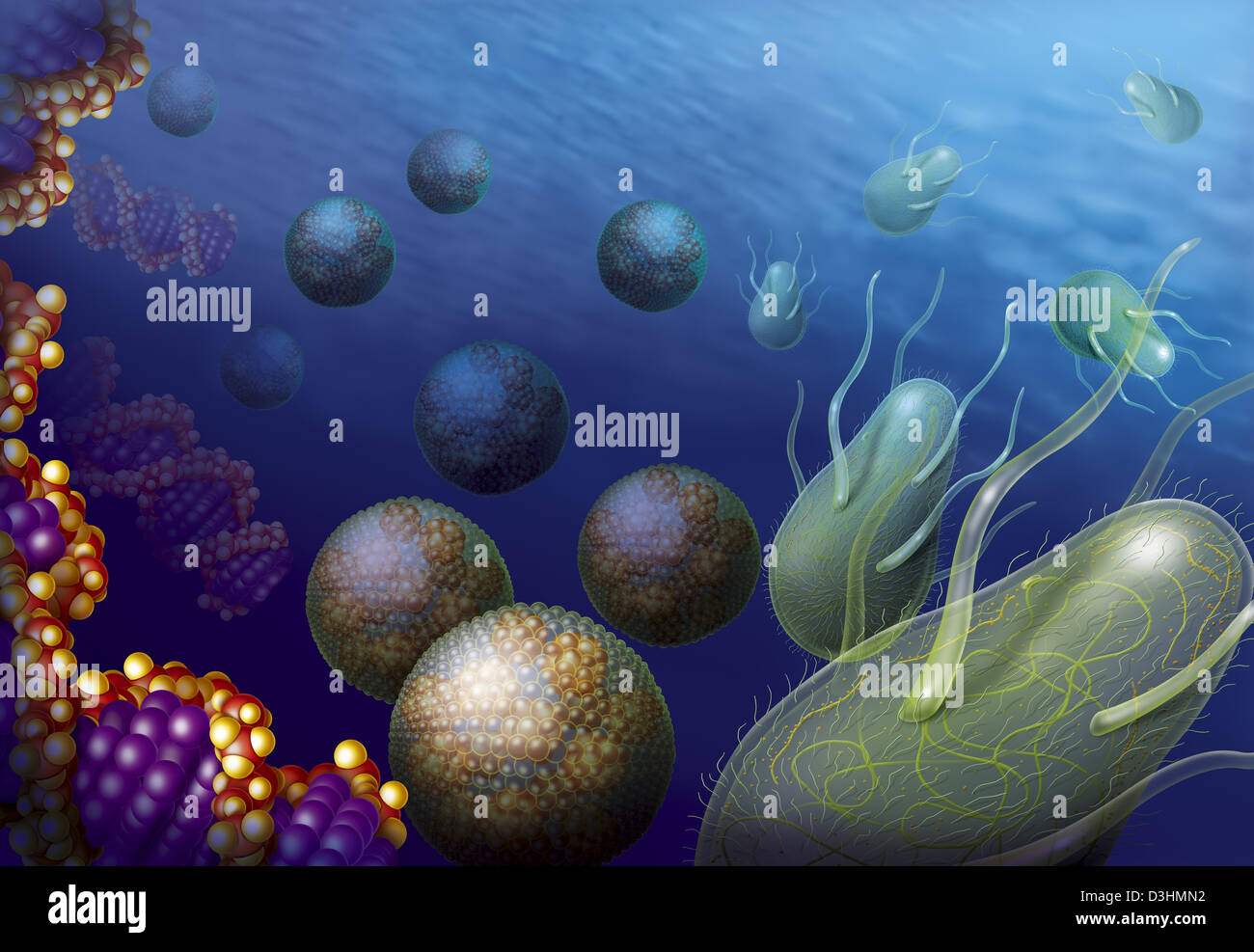 Drawings origins hi-res stock photography and images - Alamy