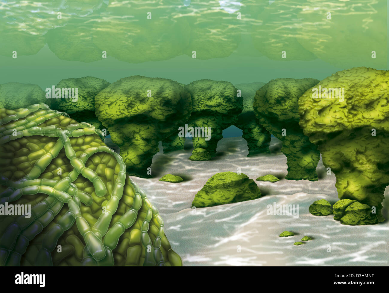 Prokaryote fossils hi-res stock photography and images - Alamy