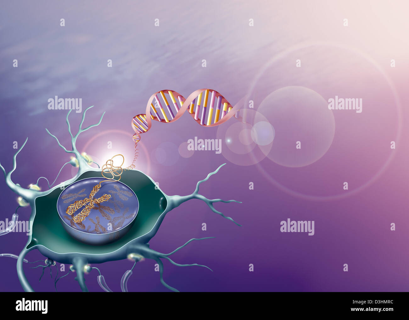 Chain of neurons hi-res stock photography and images - Alamy