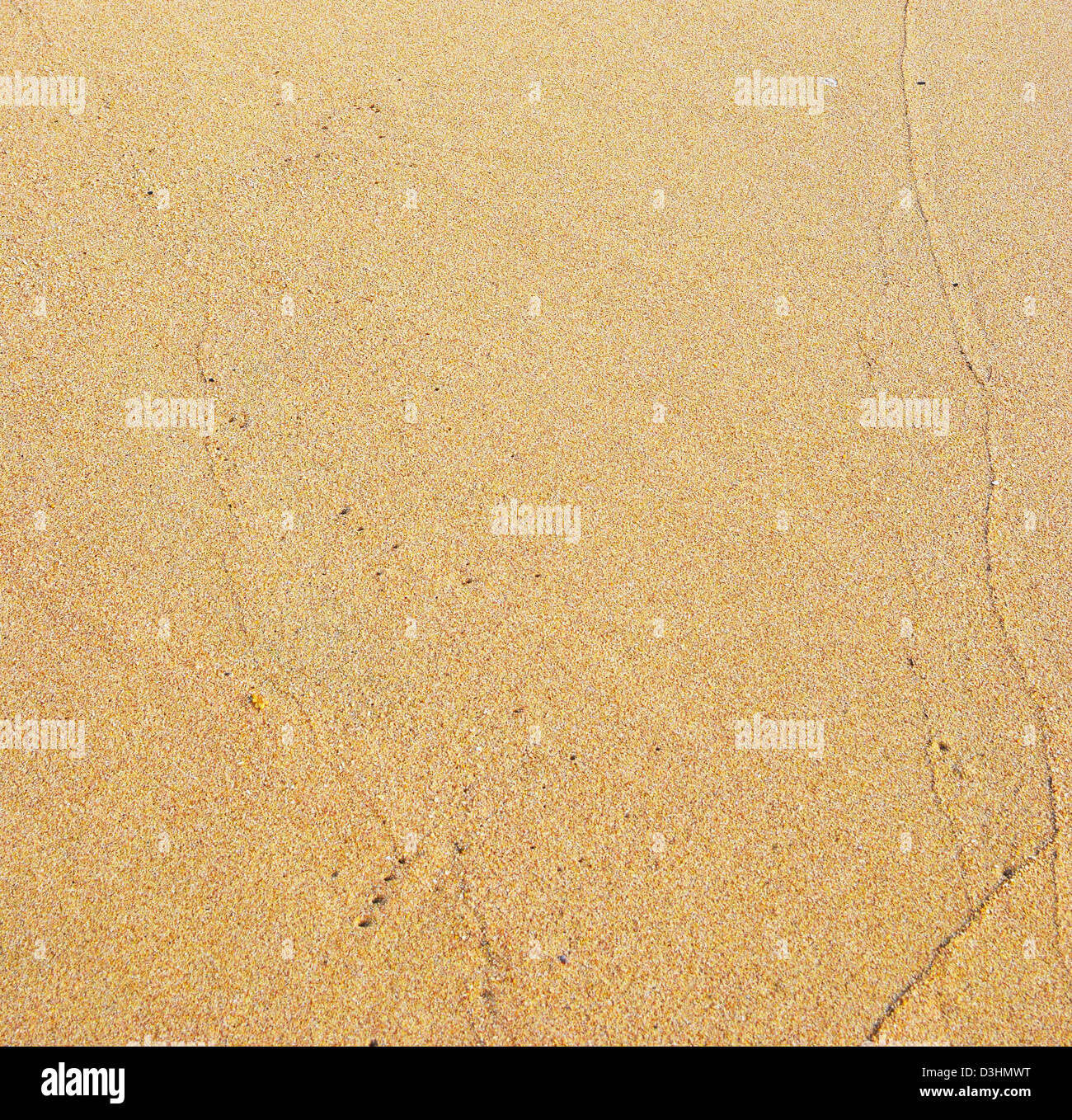 wet sand great as background Stock Photo - Alamy