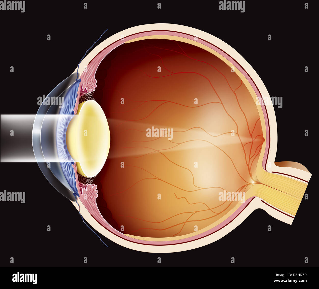 Cataract drawing hi-res stock photography and images - Alamy