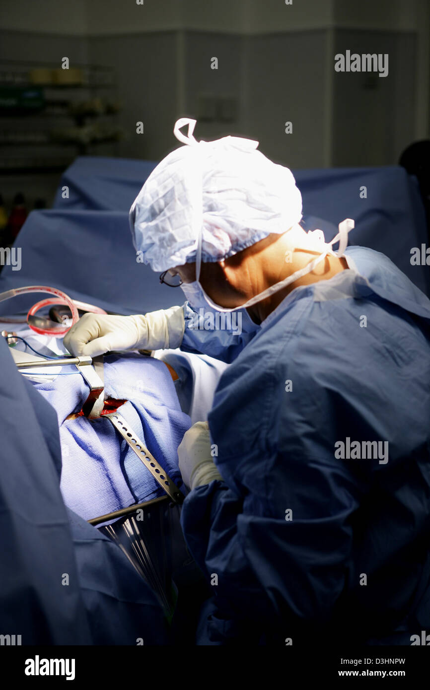 HIP PROSTHESIS, SURGERY Stock Photo - Alamy