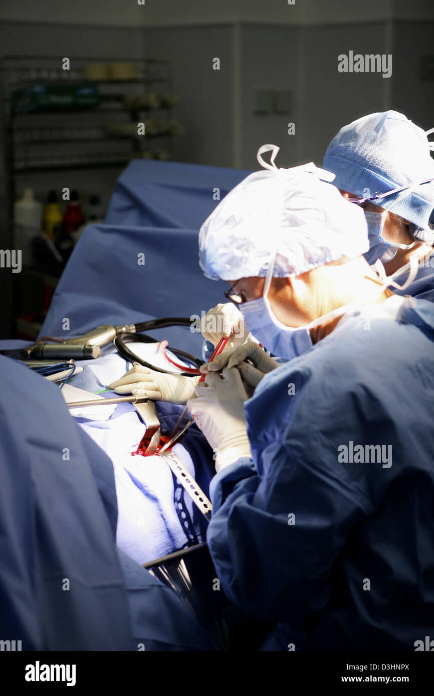 HIP PROSTHESIS, SURGERY Stock Photo - Alamy