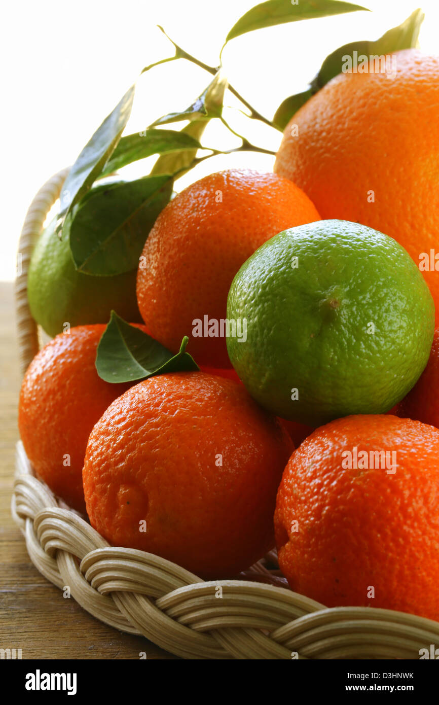 different types of citrus, lime, orange, grapefruit and mandarin Stock ...