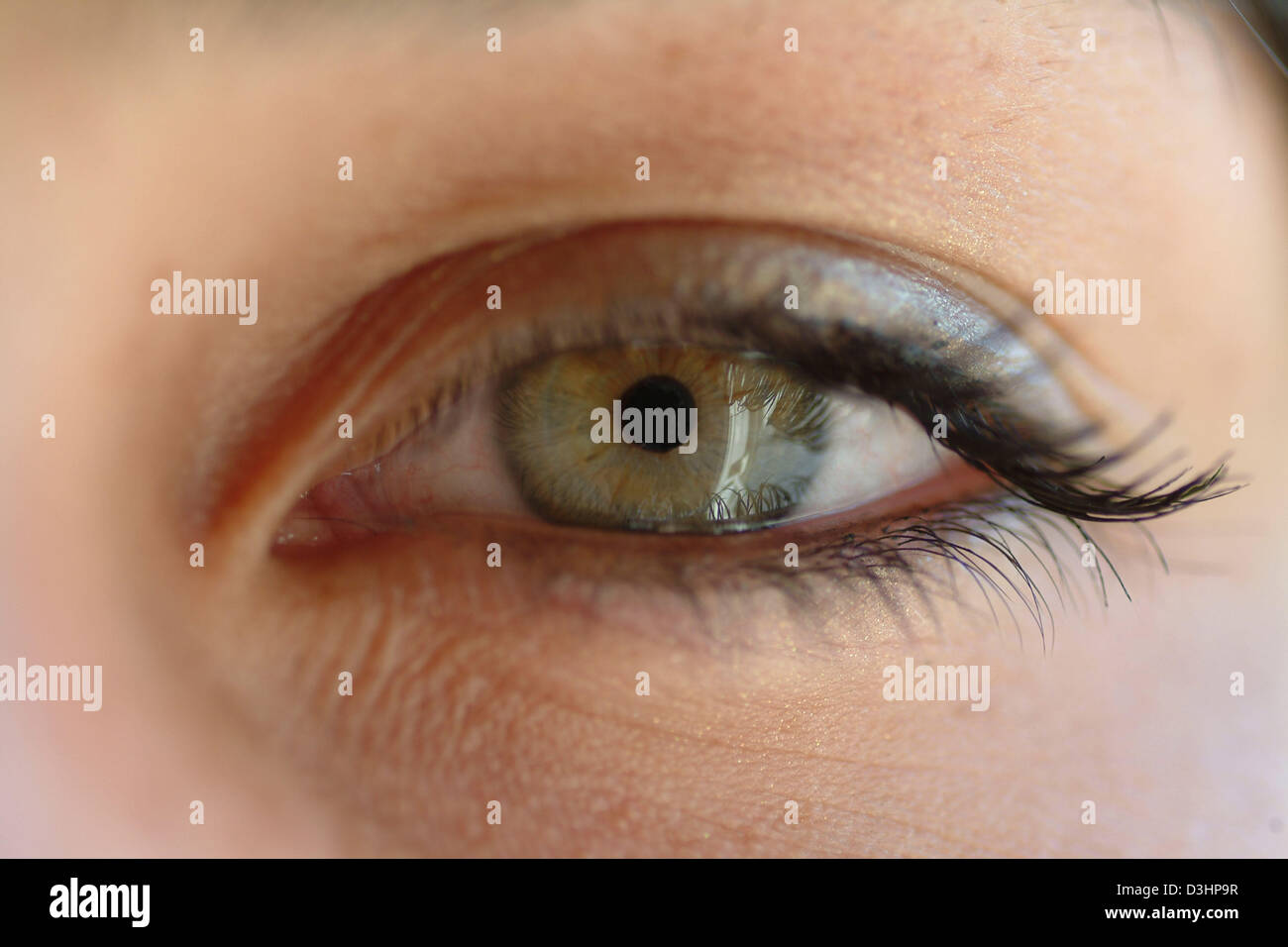 See Seeing Look Looking View Viewing Visual Eyes Eyesight High ...