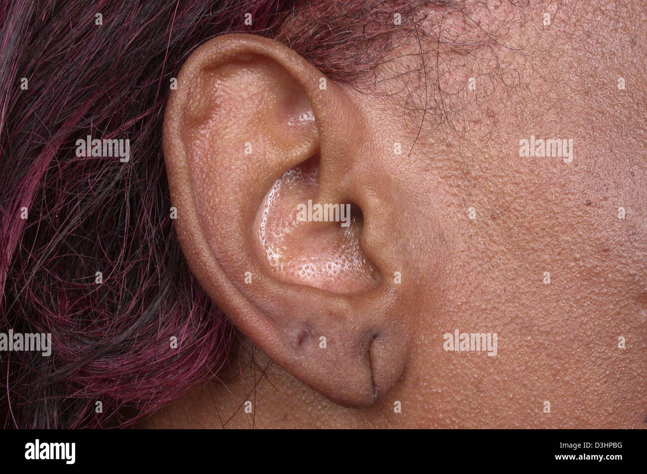 Ear lobe piercings hi-res stock photography and images - Alamy