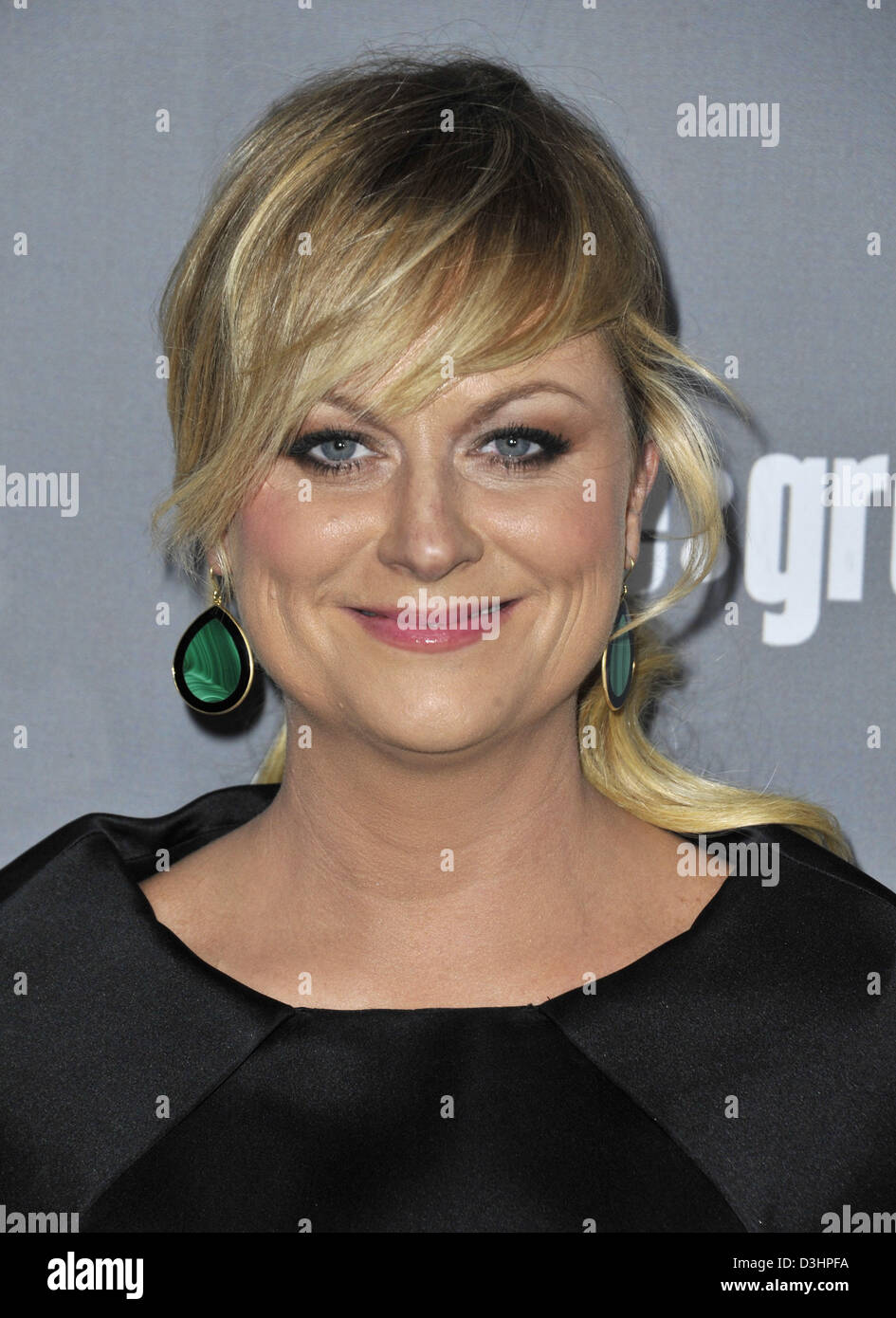 Los Angeles, California, U.S. Feb. 19, 2013. Amy Poehler attending the ...
