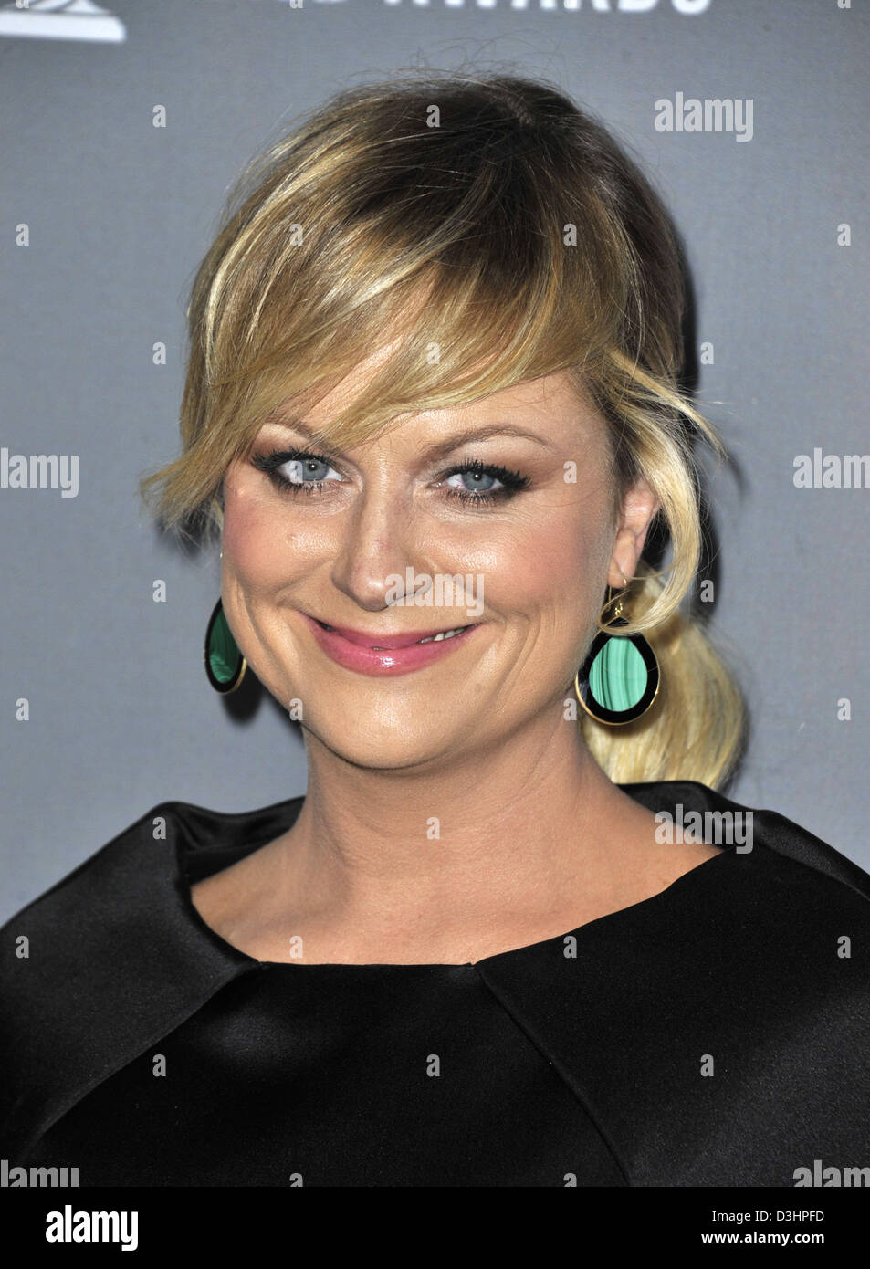Los Angeles, California, U.S. Feb. 19, 2013. Amy Poehler attending the ...