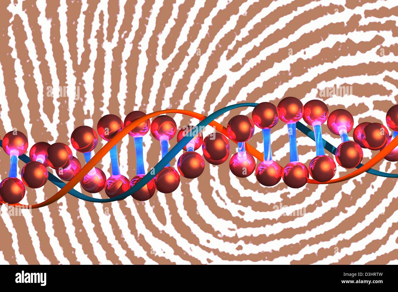 Dna Profile High Resolution Stock Photography and Images - Alamy