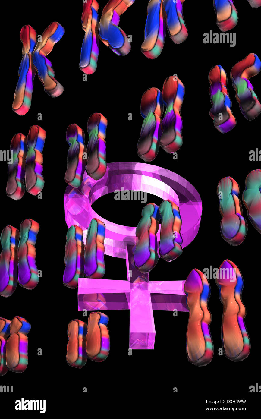 Female chromosomes karyotype hi-res stock photography and images - Alamy