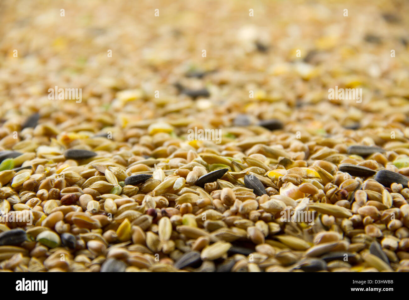 Dari food hi-res stock photography and images - Alamy