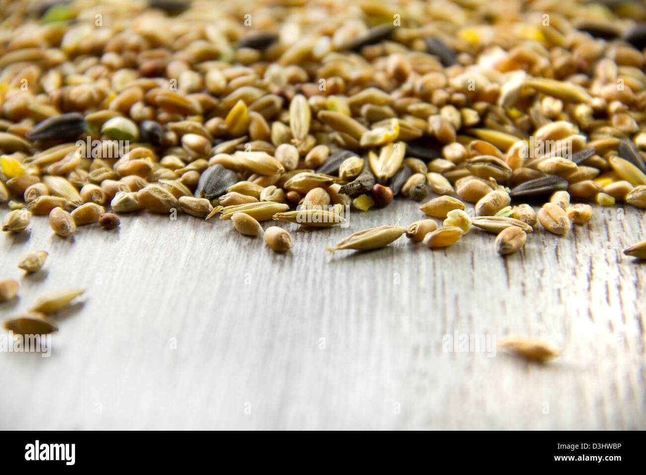 Bird seed mix hi-res stock photography and images - Alamy