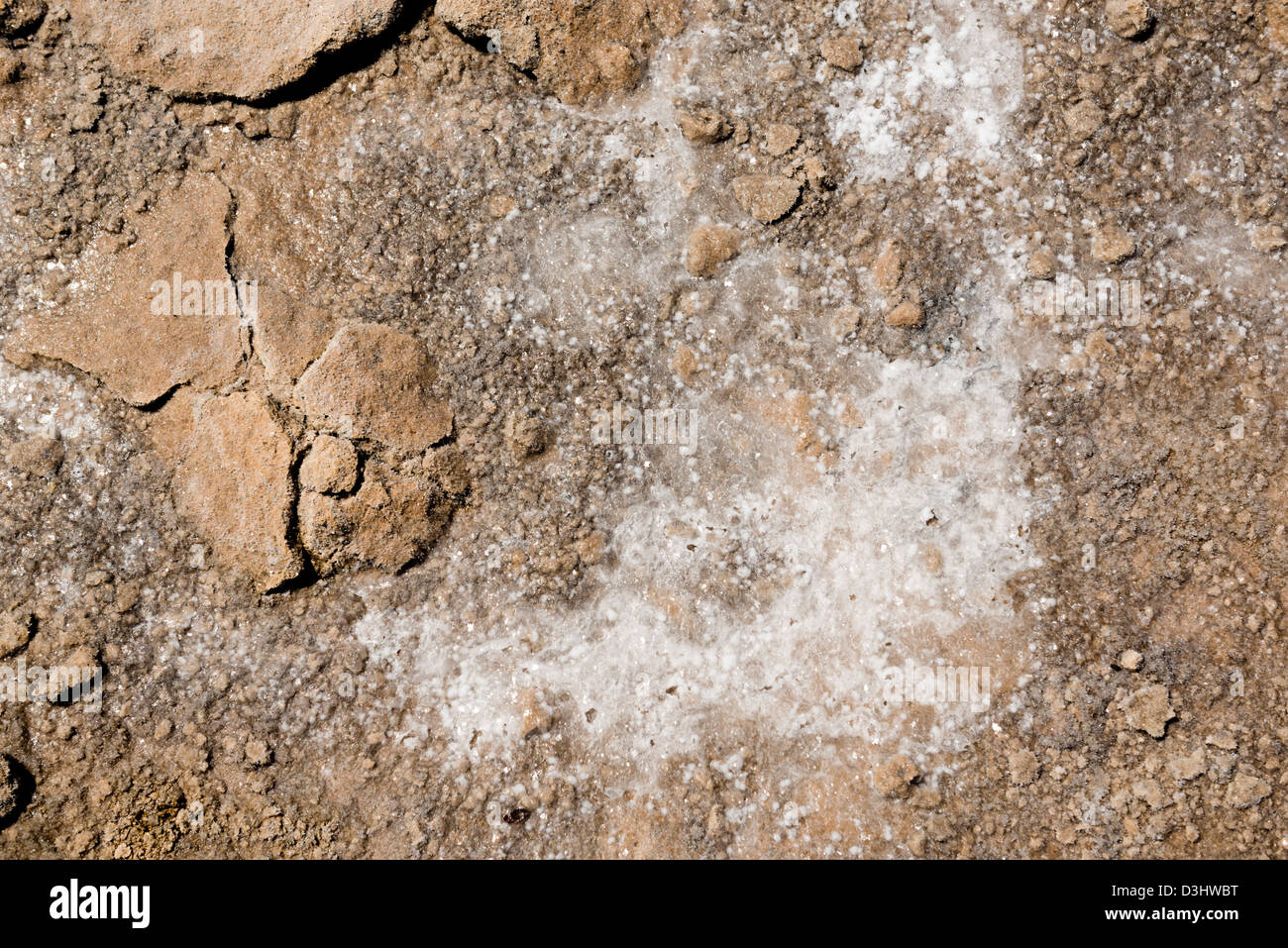 Crystal salt forming on drought affected ground Stock Photo - Alamy