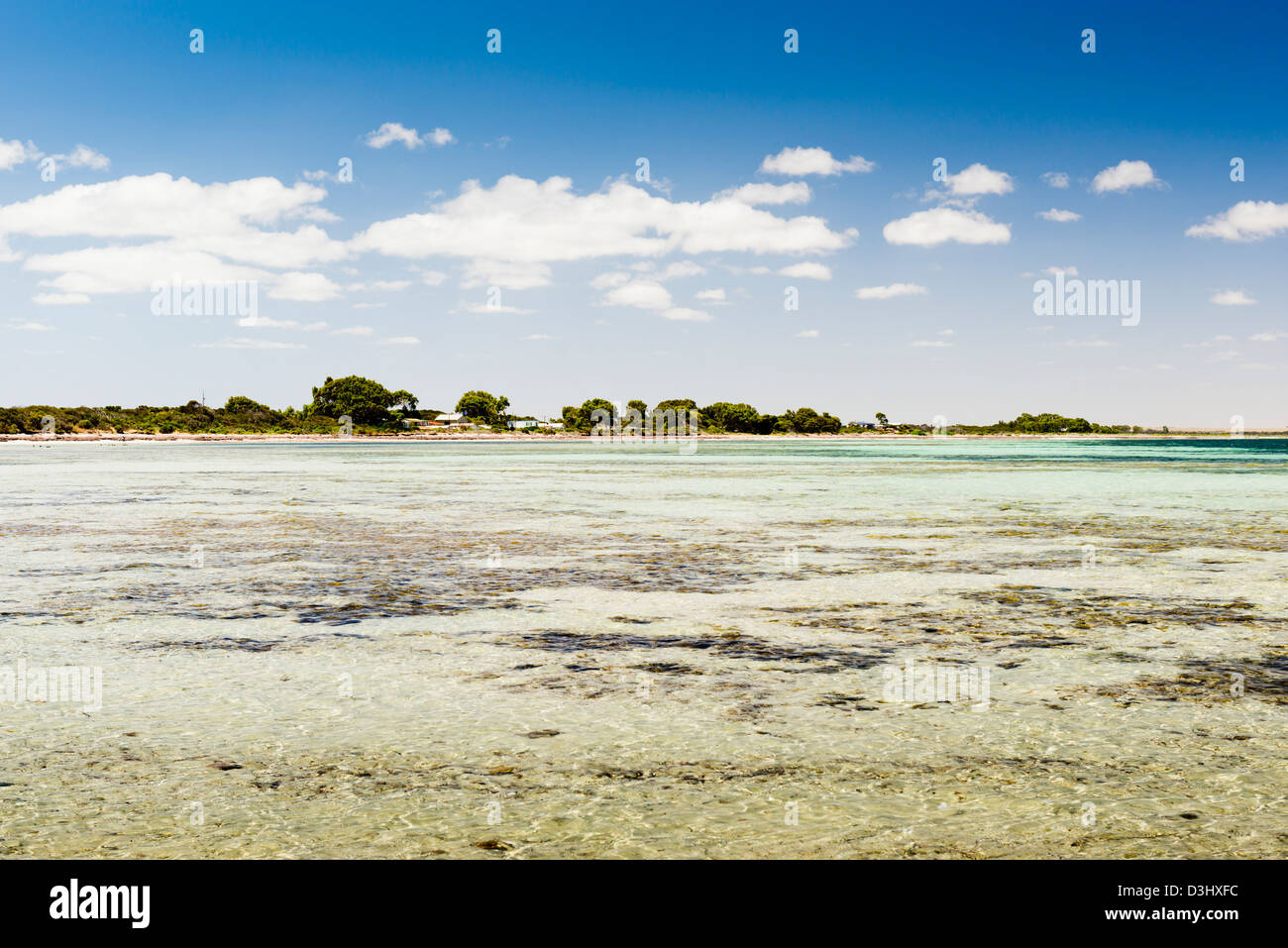 Clear tropical looking water with horizon and blue sky Stock Photo - Alamy