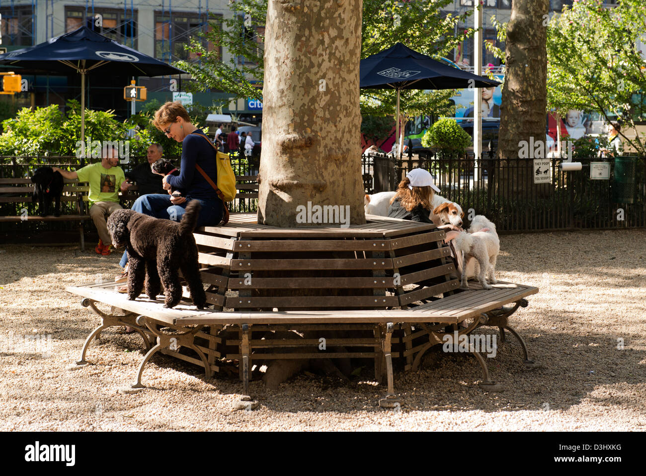 Run with pet hi-res stock photography and images - Alamy