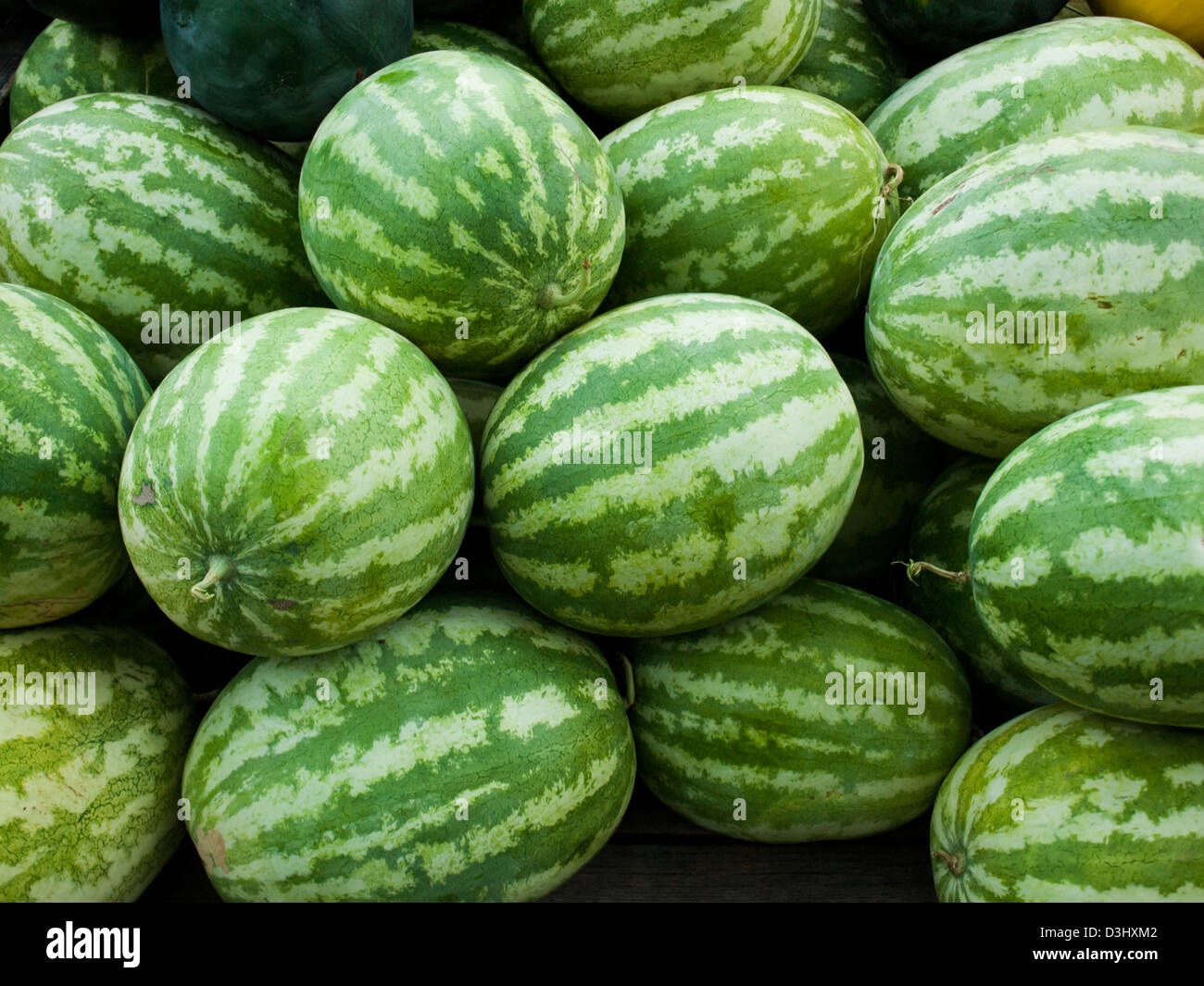 Watermelon twist hi-res stock photography and images - Alamy