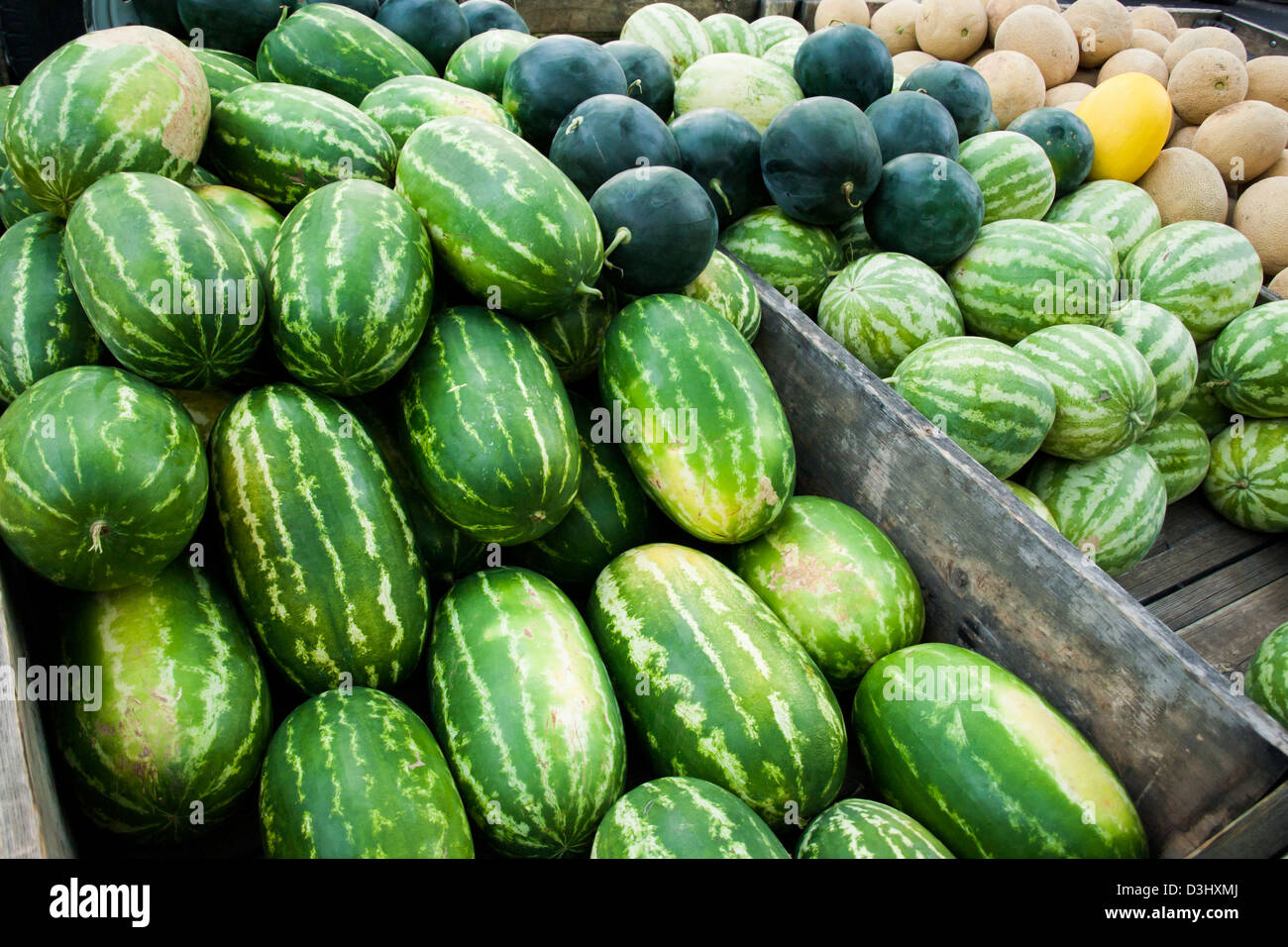 Fresh watermelon at the local farmers market Stock Photo - Alamy