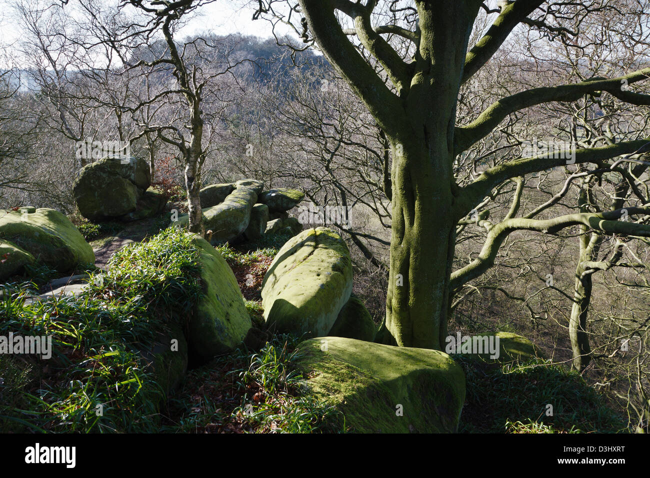 Rowtor Rocks, Birchover, Peak District National Park, Derbyshire ...