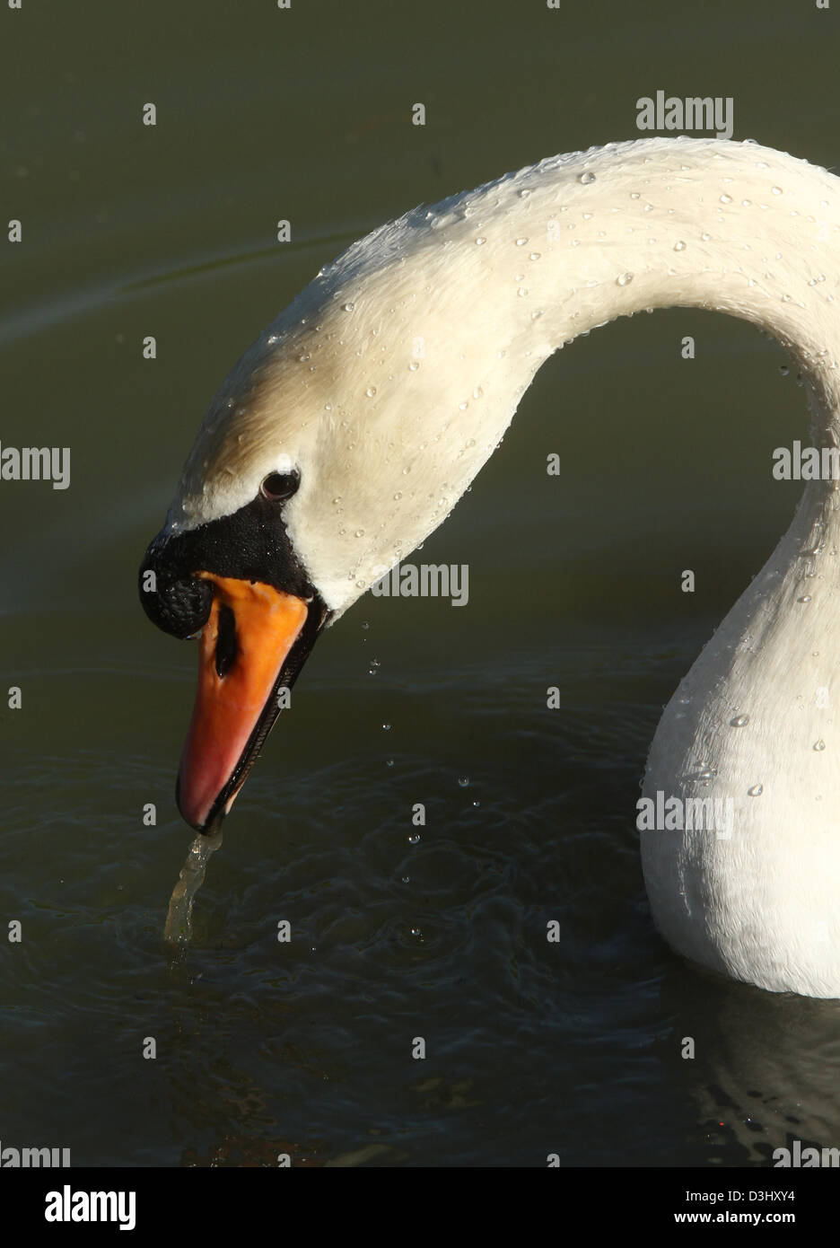 Peterborough, UK Weather Feb 19, 2013 The sun on a beautiful, late ...