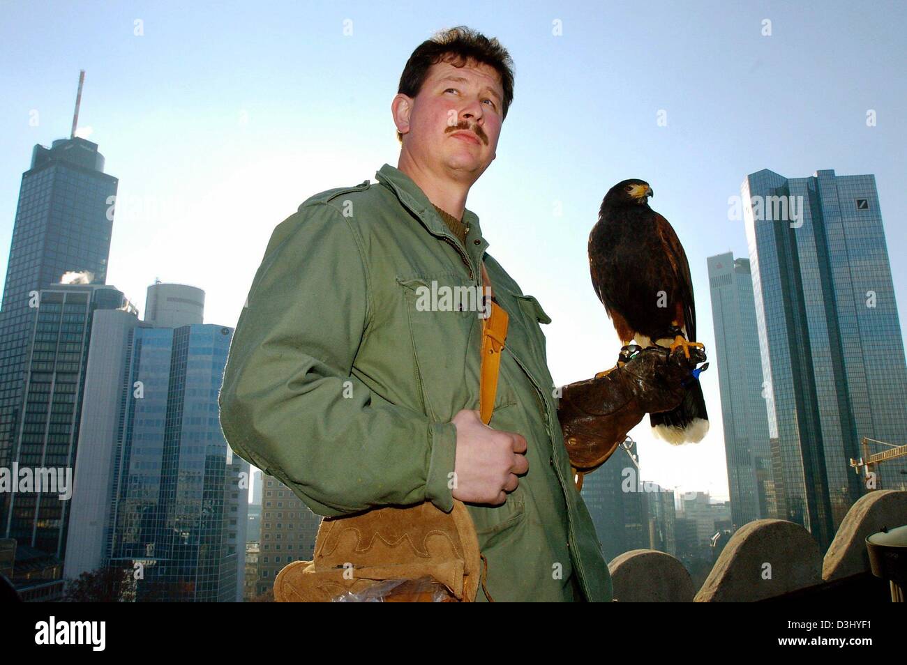(dpa) - Falconer Frank Schaumann holds female buzzard Ronja on his arm ...