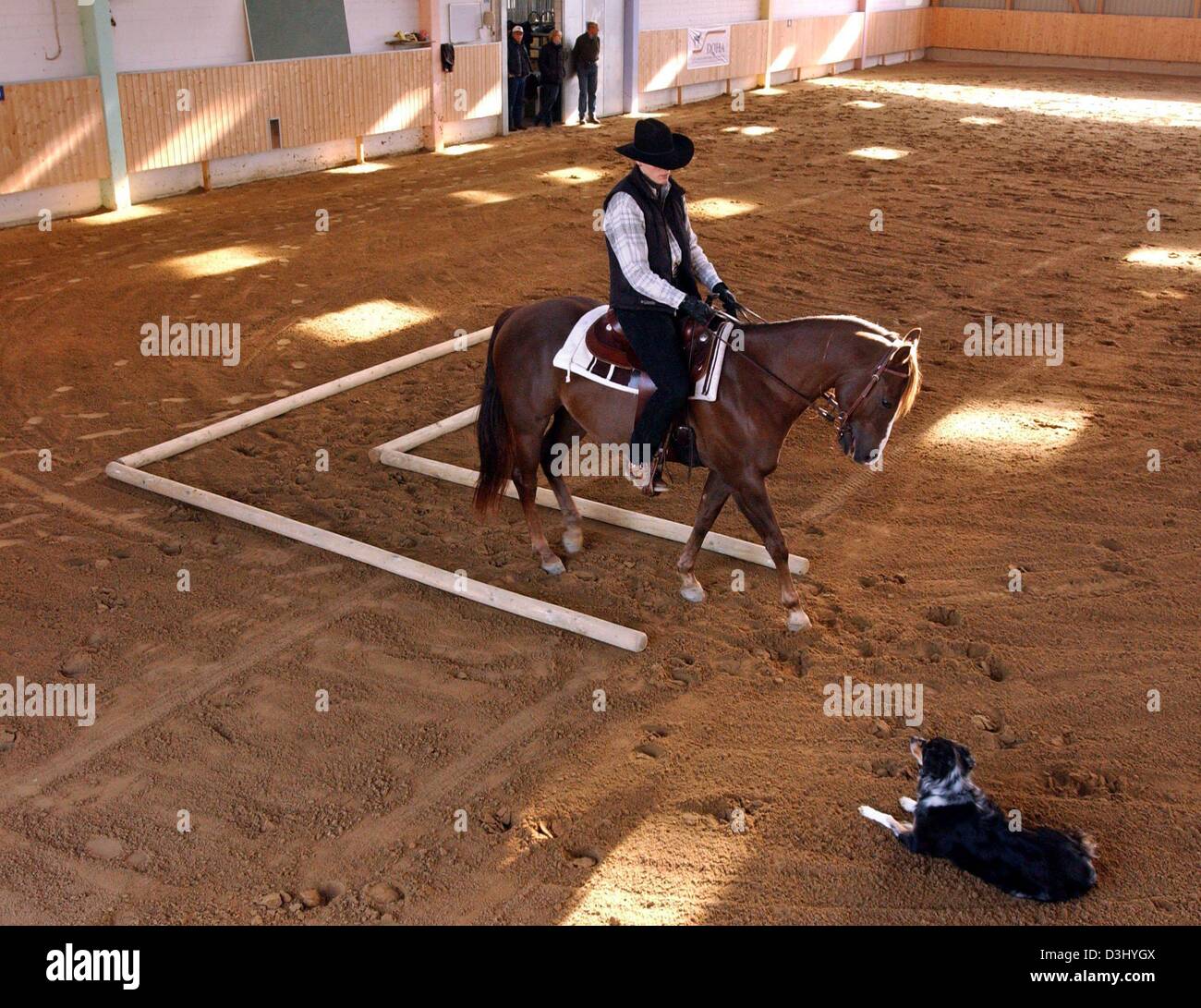 Backwards horse hi-res stock photography and images - Alamy