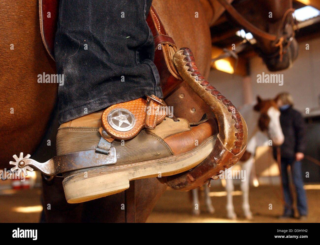 (dpa) - Rider Helga Hommel wears spurs on her boots as she puts her ...